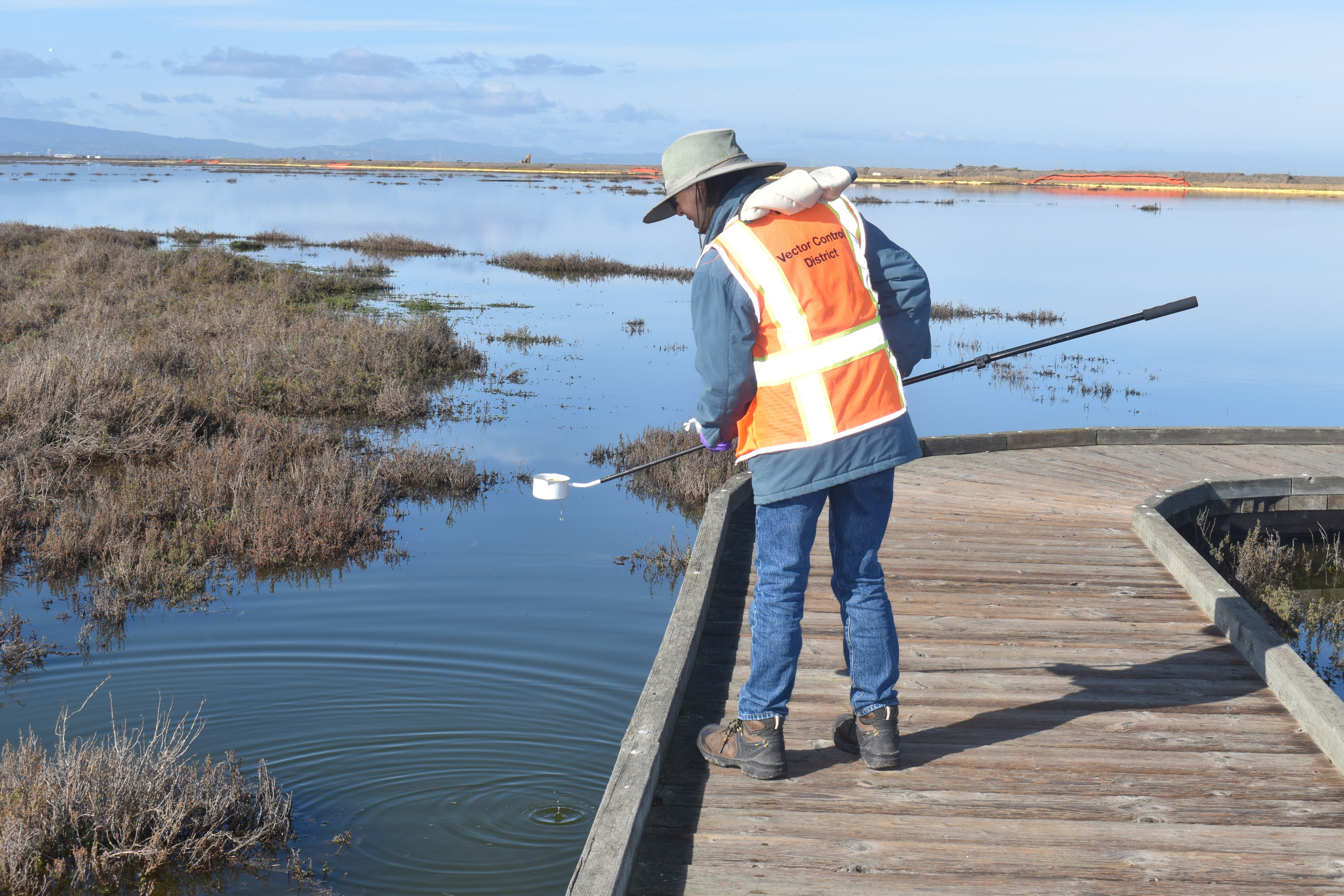 Mosquito Sampling – Our Lives Our Photographs
