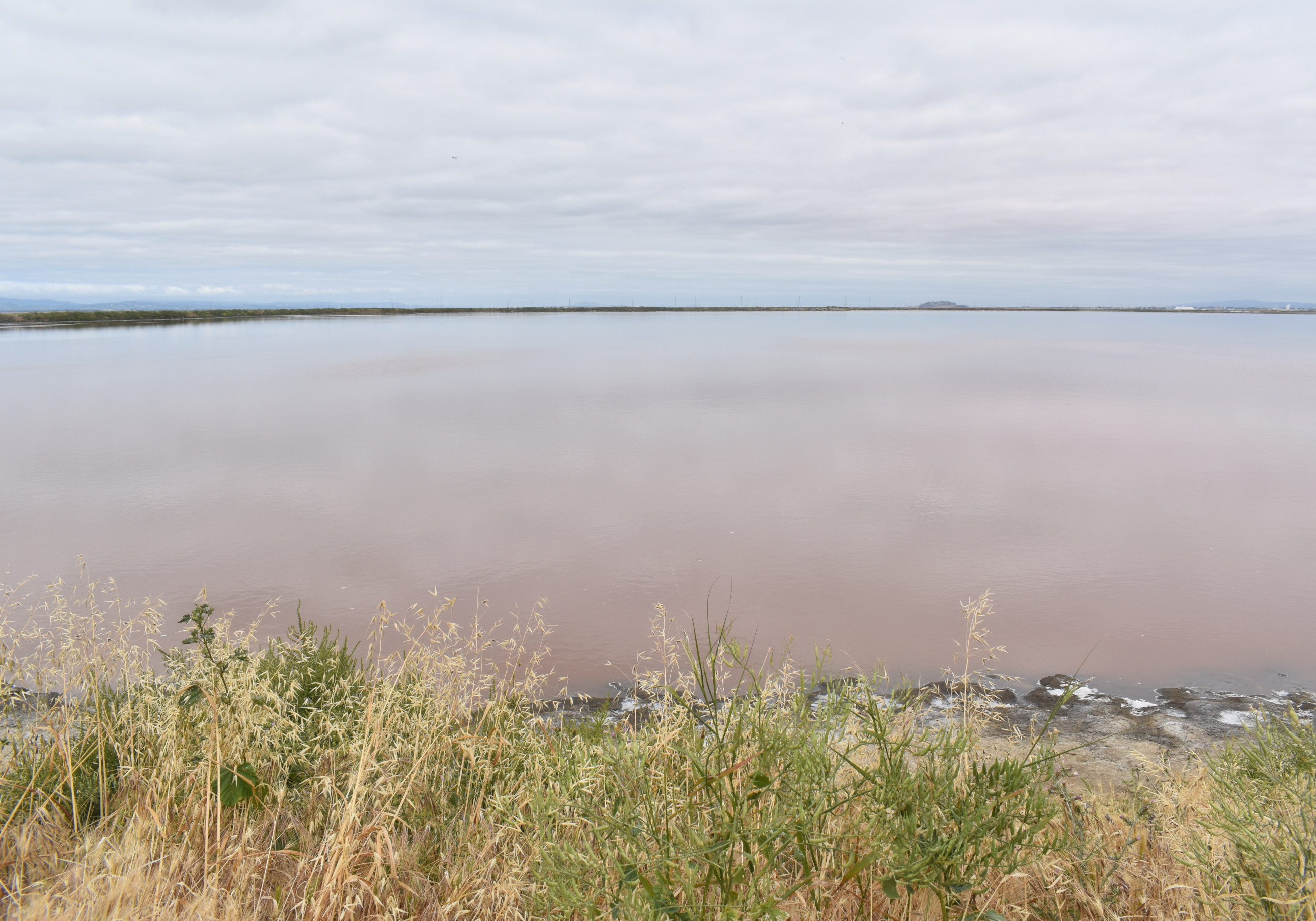 Changing Colors – Our Lives Our Photographs