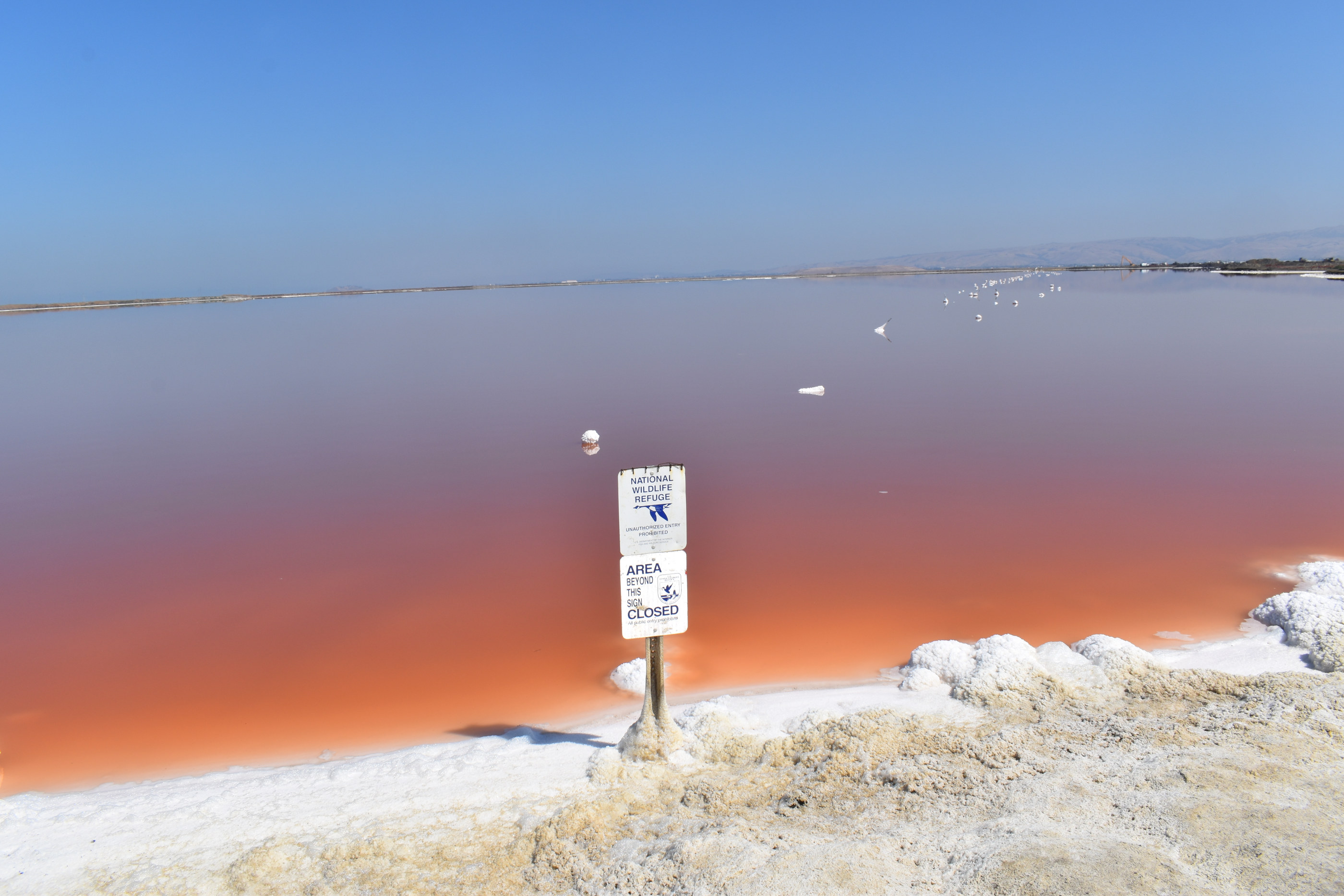 Summertime at a Salt Pond – Our Lives Our Photographs